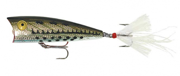 Best Popper Lures for Bass 2026 - Fishmasters.com