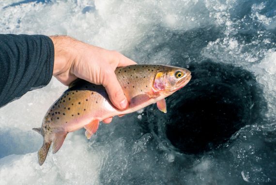 Best Ice Fishing Lakes in Ohio - Fishmasters.com