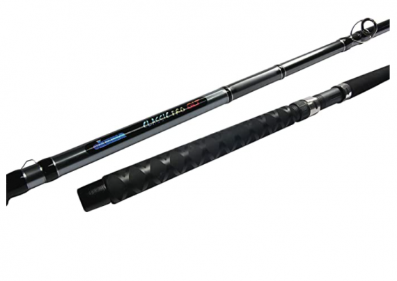 8 Best Salmon Trolling Rods for 2026 - Fishmasters.com