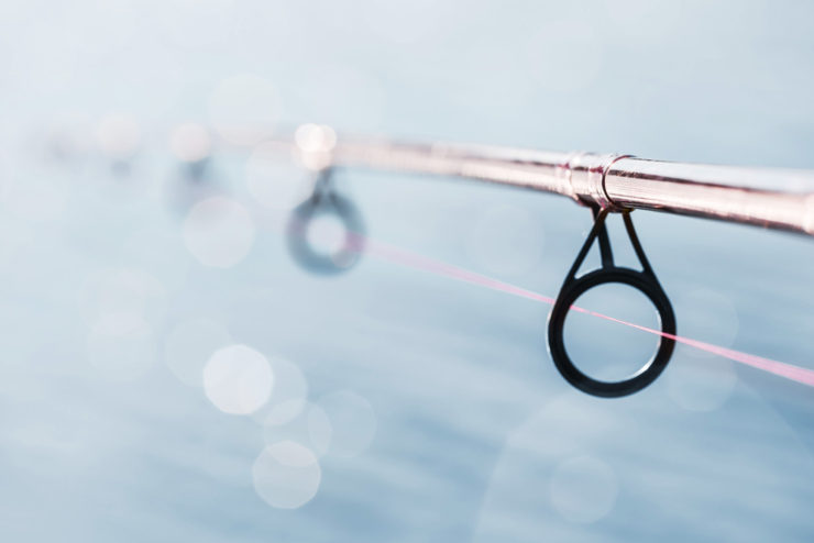 Types of Fishing Line and How to Choose the Right One - Fishmasters.com