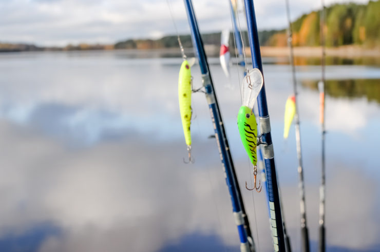 The 10 Best Jerkbaits for Bass in 2026 - Fishmasters.com