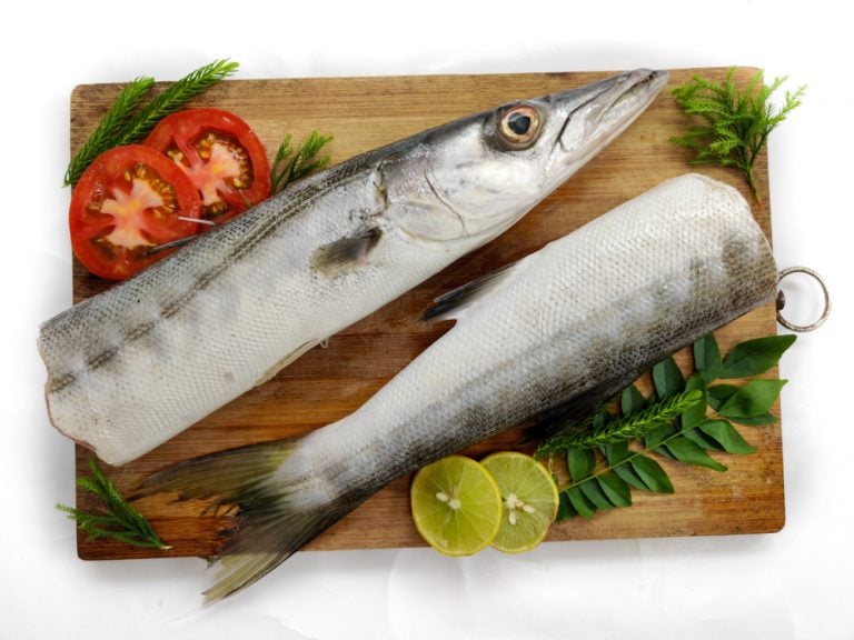 Can You Eat Barracuda and How Does It Taste? - Fishmasters.com