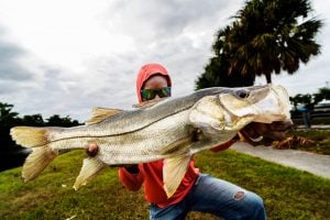 Can You Eat Snook and How Does it Taste? - Fishmasters.com