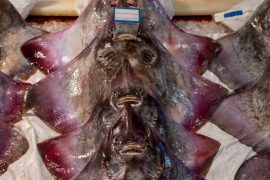 Can You Eat Skate and Is It Safe?