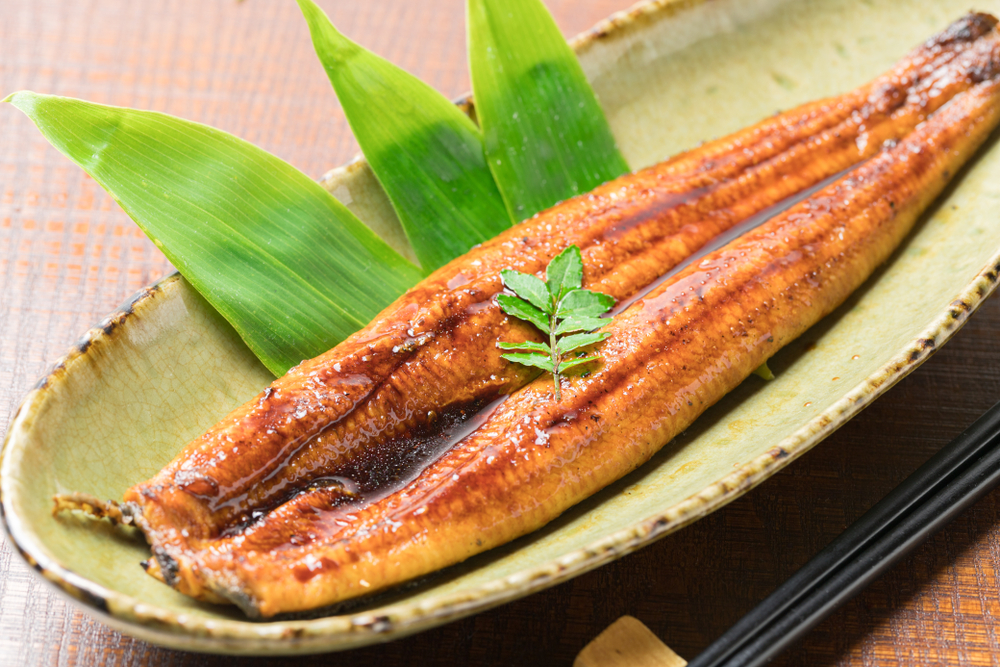 Can You Eat Eel And How Does It Taste Fishmasters Can You Eat Eel And How Does It Taste Fishmasters