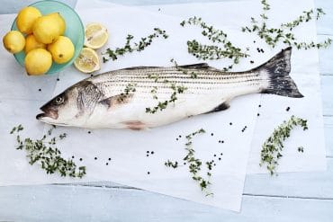 Can You Eat Striped Bass and is it Good? - Fishmasters.com
