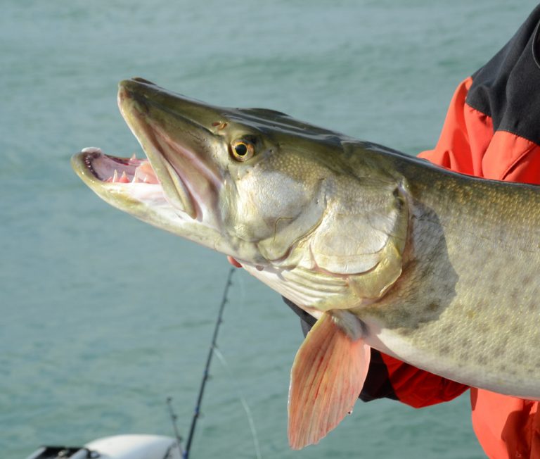 The Top 30 Fishing Lakes in Ohio - Fishmasters.com