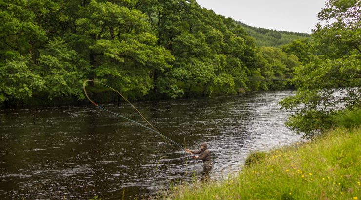 Best Fly Fishing Tippet for 2026 - Fishmasters.com