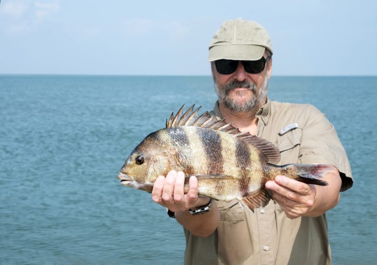 Can You Eat Sheepshead and How Does it Taste?
