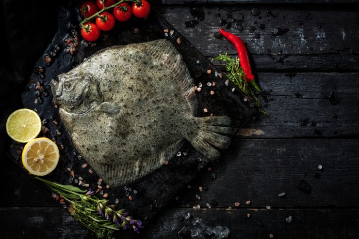 10 Types of Flatfish to Catch in the Ocean - Fishmasters.com