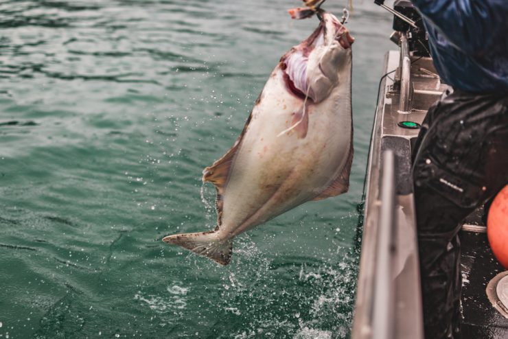 Bottom Fishing: Everything You Need to Know - Fishmasters.com