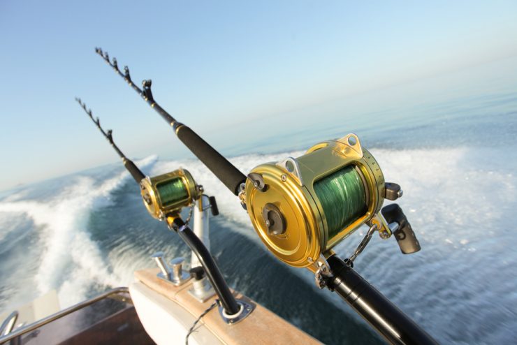 10 Best Conventional Fishing Reels for Trolling - Fishmasters.com