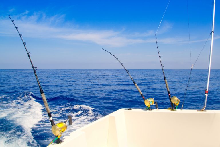 16 Types of Fishing Everyone Should Know - Fishmasters.com
