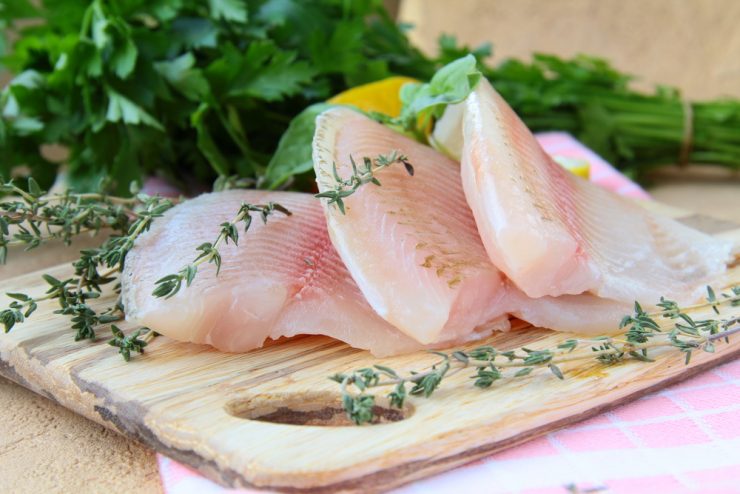 Can You Eat Remora? - Fishmasters.com