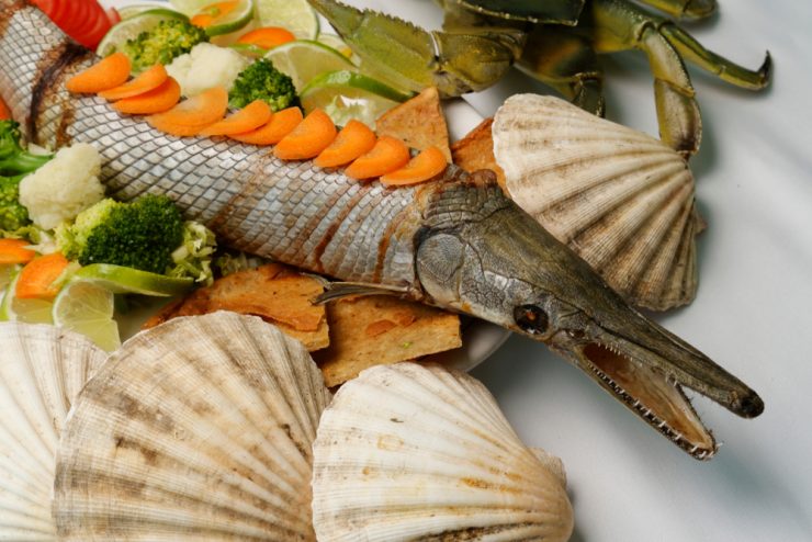 Can You Eat Alligator Gar? - Fishmasters.com