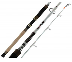 Top 10 Best Catfish Rods for 2026 - Fishmasters.com