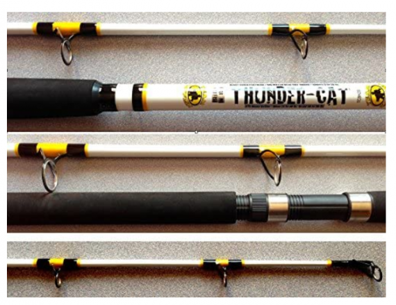 Top 10 Best Catfish Rods for 2026 - Fishmasters.com