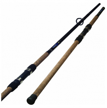 11 Best Saltwater Fishing Rods of 2025 - Fishmasters.com