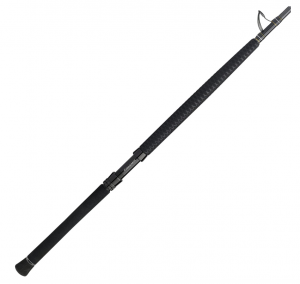 10 Best Deep Sea Fishing Rods of 2025 - Fishmasters.com