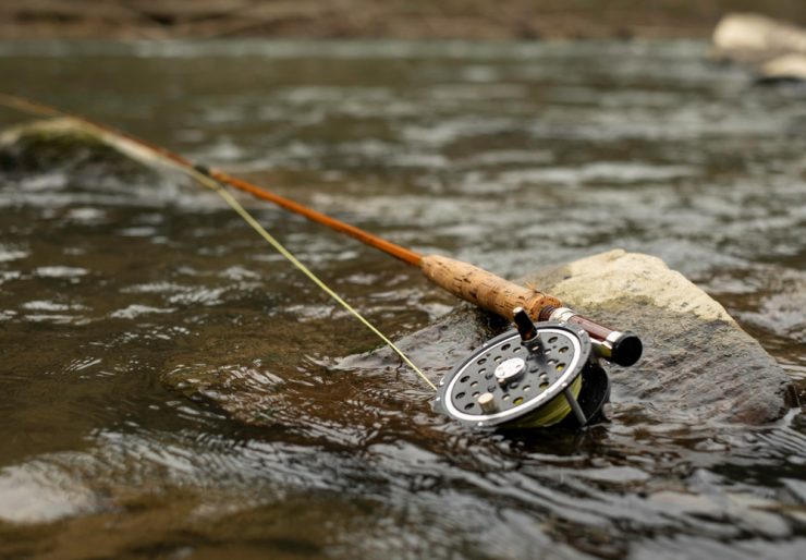Types of Fishing Rods and Poles Explained - Fishmasters.com