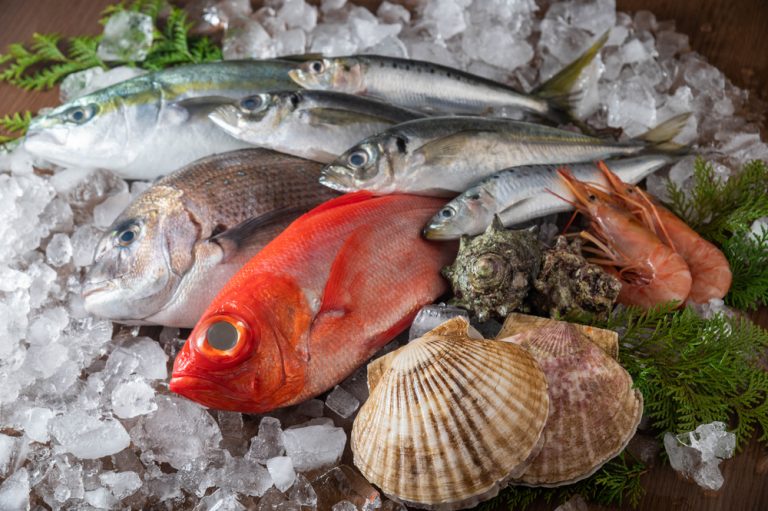 10 Best Tasting Saltwater Fish in the World