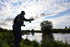 13 Popular Types of Freshwater Fish - Fishmasters.com