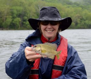 Rock Bass: An Angler's Guide - Fishmasters.com