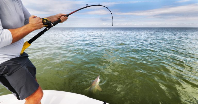 Understanding Fishing Rods: A Beginner's Guide to Action, Power, and ...