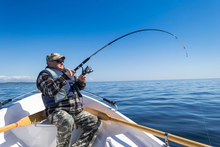 Suwannee Bass: Complete Fisherman's Guide - Fishmasters.com