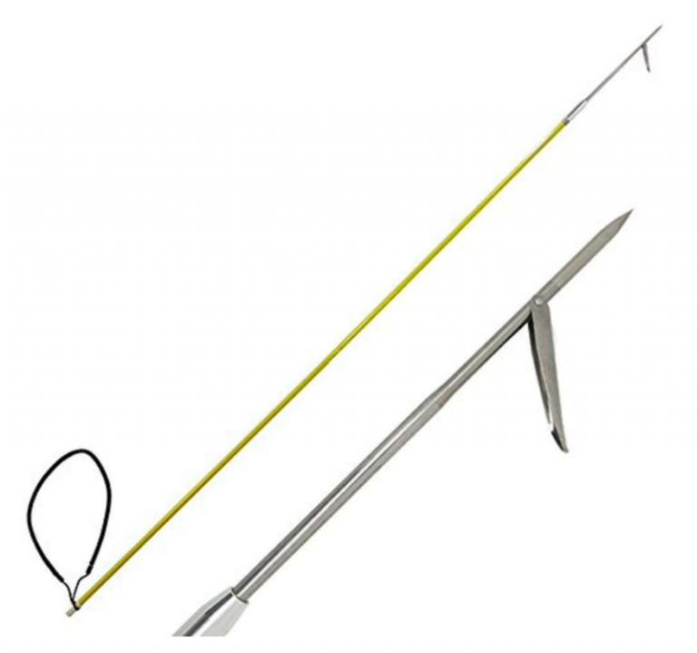 6 Best Pole Spears for Fishing of 2026 - Fishmasters.com