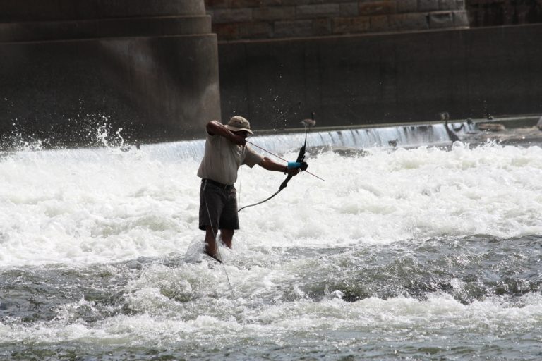 9 Best Bowfishing Bows of 2026 - Fishmasters.com