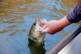 The Top 30 Fishing Lakes in Louisiana Ranked - Fishmasters.com