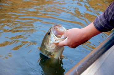 The Top 30 Fishing Lakes in Louisiana Ranked - Fishmasters.com