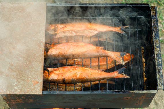 7 Best Fish Smokers of 2026 - Fishmasters.com