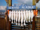 Alaska Fishing License: How to Get Yours for Your Next Fishing Trip ...