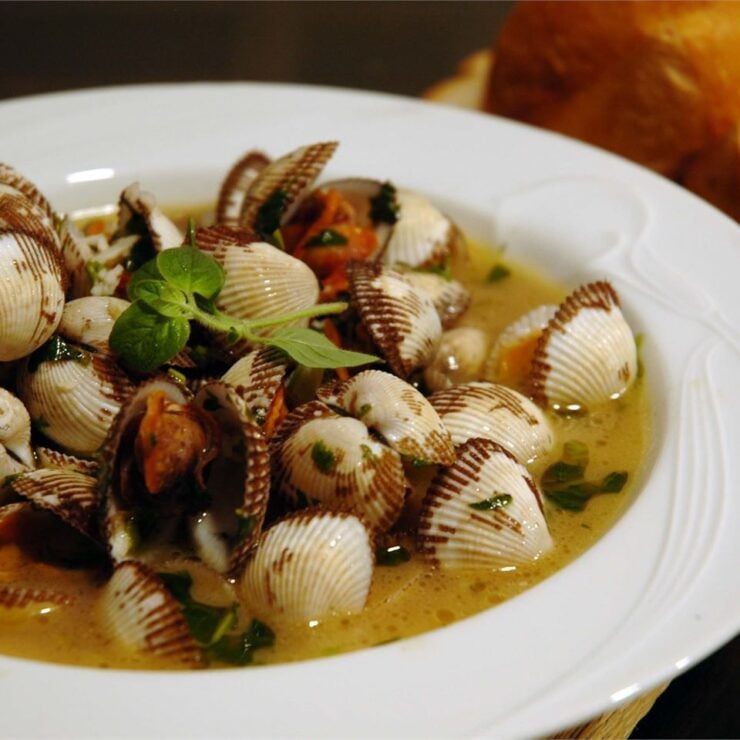 10 Best Clam Recipes - Fishmasters.com