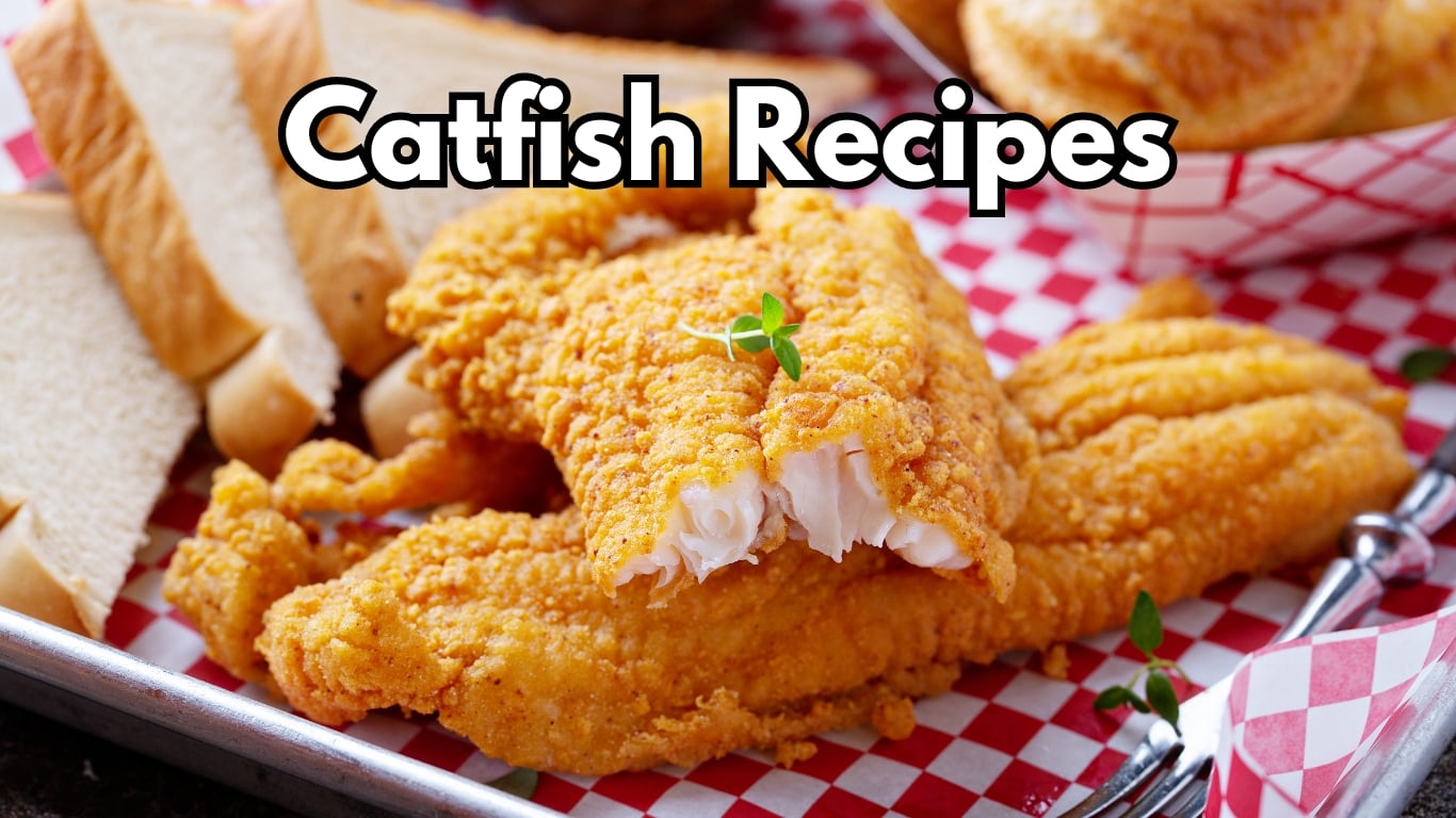 15 Catfish Recipes to Make - Fishmasters.com