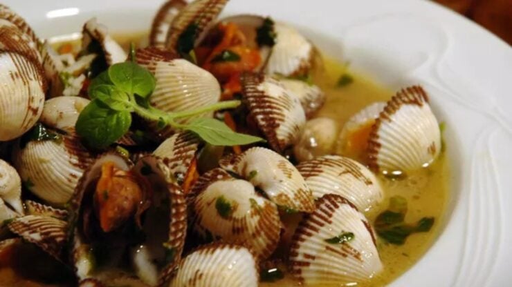17 Best Clam Recipes - Fishmasters.com