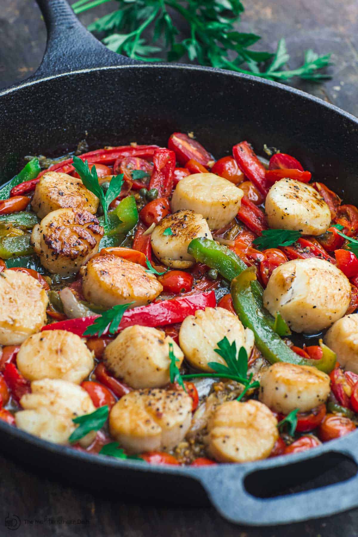 10 Scallop Recipes to Try - Fishmasters.com