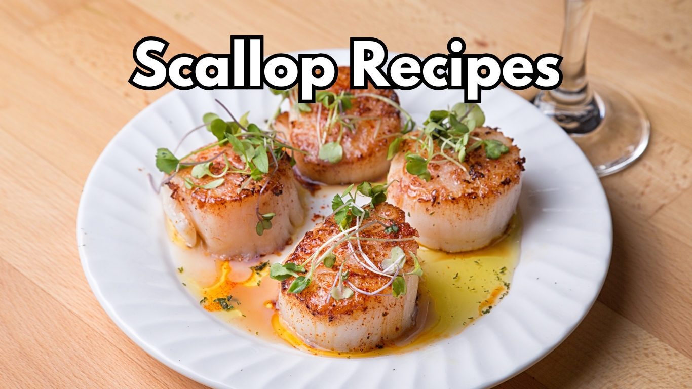 10 Scallop Recipes to Try - Fishmasters.com