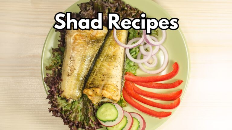 10 Best Shad Recipes - Fishmasters.com