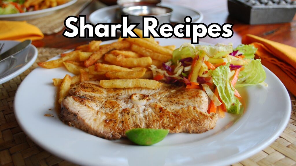 10 Best Shark Recipes - Fishmasters.com