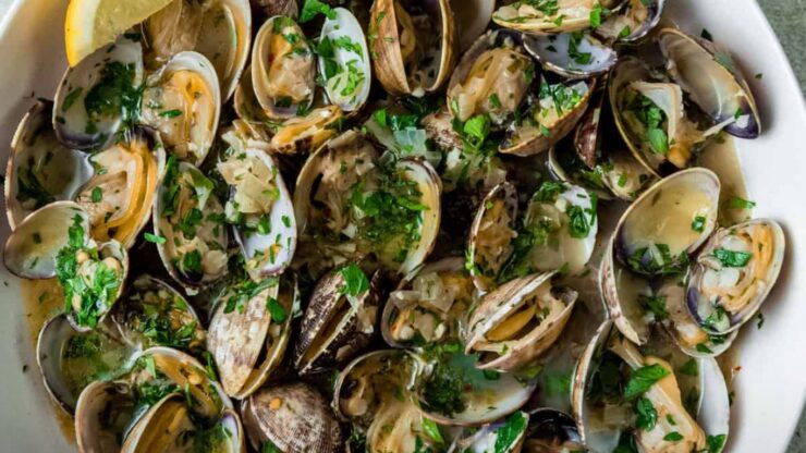 17 Best Clam Recipes - Fishmasters.com