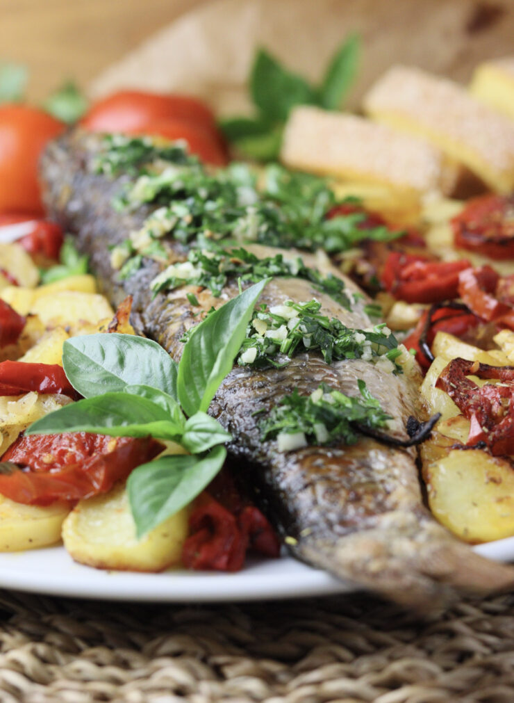 10 Must-Try Grey Mullet Recipes - Fishmasters.com