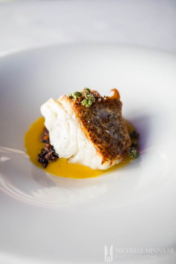 6 Best Wreckfish Recipes - Fishmasters.com