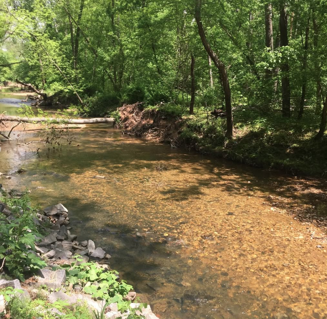 Top 30 Trout Streams in Virginia - Fishmasters.com