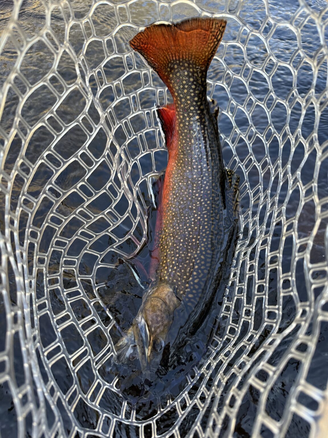 The Top 20 Trout Fishing Streams in New Jersey - Fishmasters.com