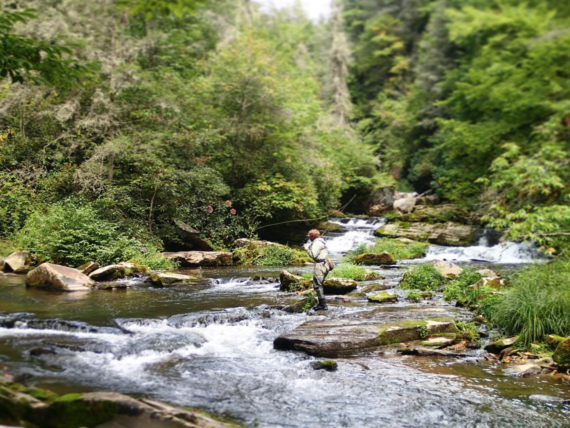 The Top 30 Trout Streams in North Carolina - Fishmasters.com