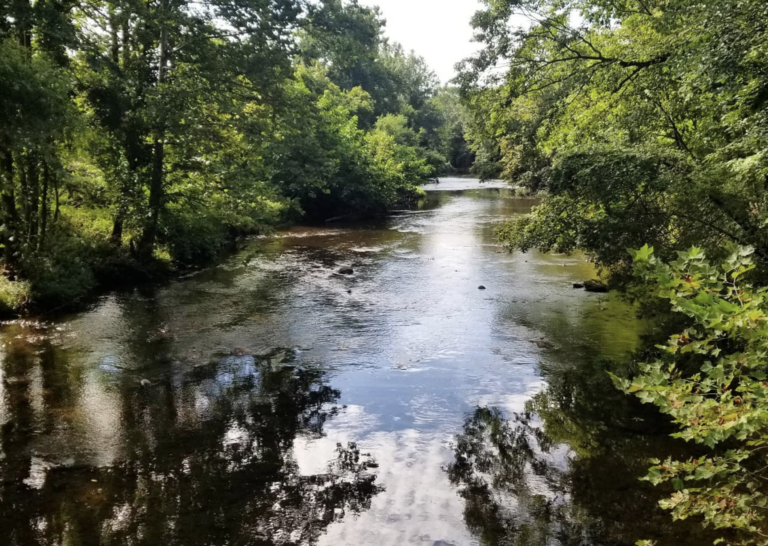 The Top 20 Trout Fishing Streams in New Jersey - Fishmasters.com