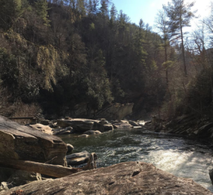The Top 30 Trout Streams in North Carolina - Fishmasters.com